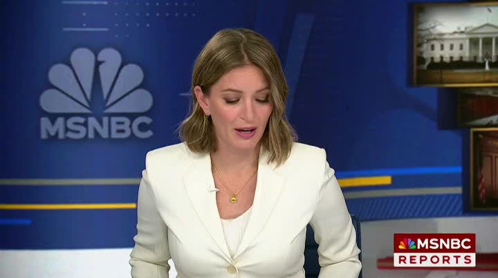 Tony Dokoupil — husband of MSNBC’s Katy Tur — shocked viewers by ...